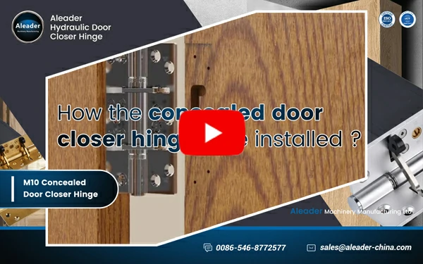 M10 Concealed High Performance Hydraulic Hinge - Aleader Machinery